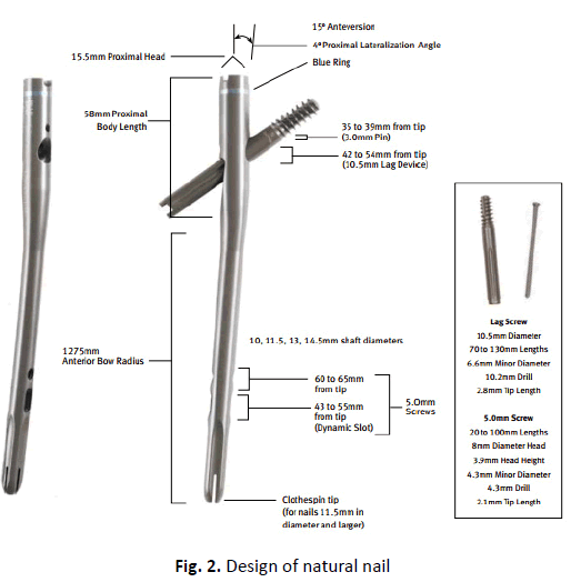 Evaluation of unstable trochanteric fractures treated with natural nail ...